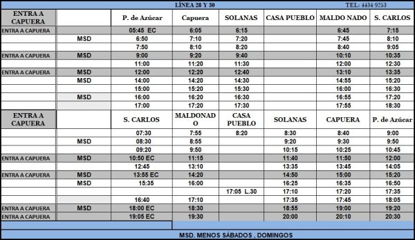 Líneas 28 y 30 – Guscapar